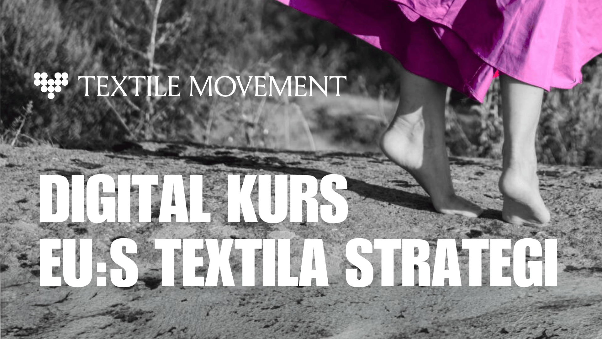 EUs Textila Strategi – Nordiska Textilakademin